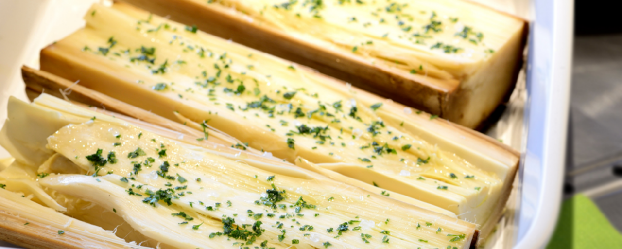 Palmito fresco ou em conserva? - Blog - Fungo de Quintal