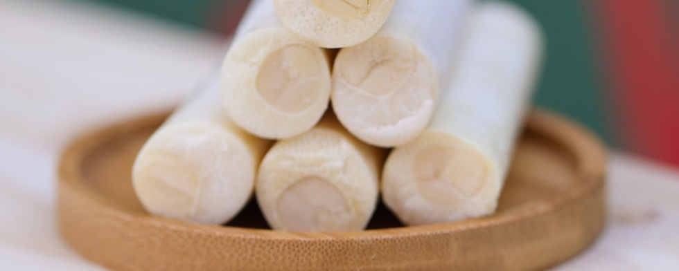 Palmito pupunha é calórico? - Blog - Fungo de Quintal