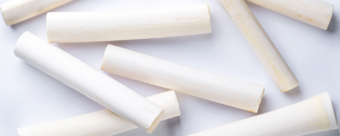 Pupunha é um tipo de palmito? - Blog - Fungo de Quintal