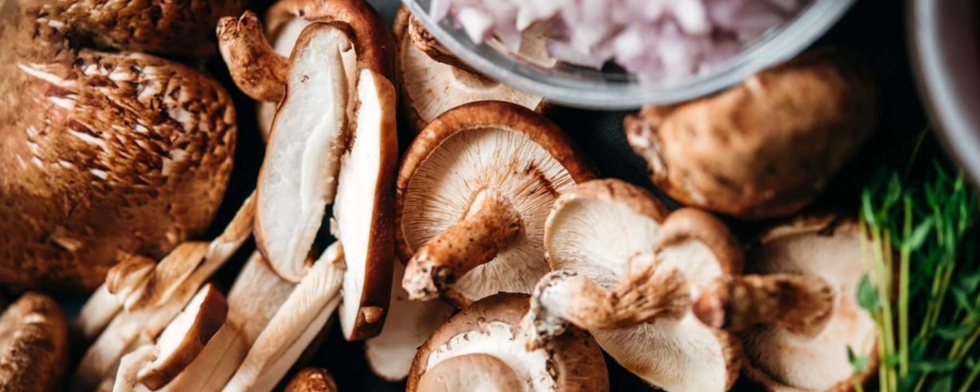 Descubra o Mundo do Umami na Culinária - Blog - Fungo de Quintal